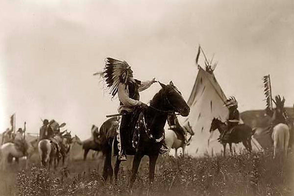 Cheyenne – Warriors of the Great Plains - Native Heritage Store